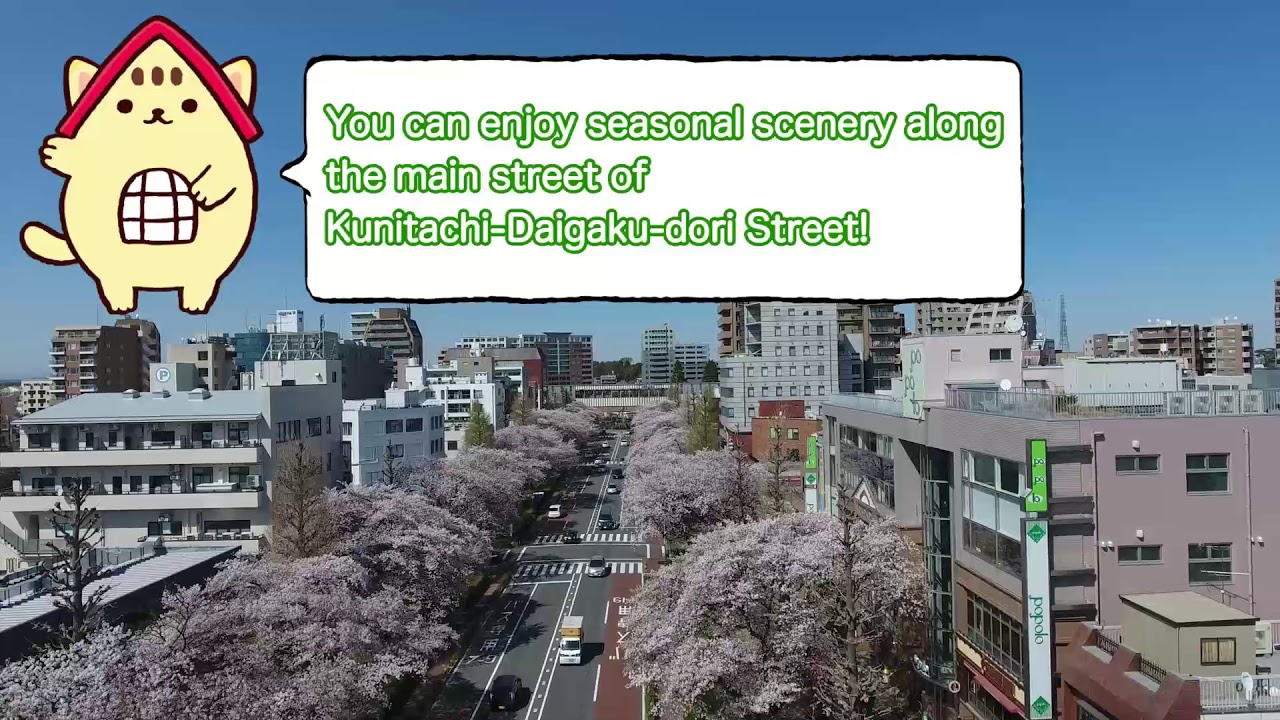 Kunitachi Daigaku-dori Street | KUNI-NYAN WALK AROUND KUNITACHI ...