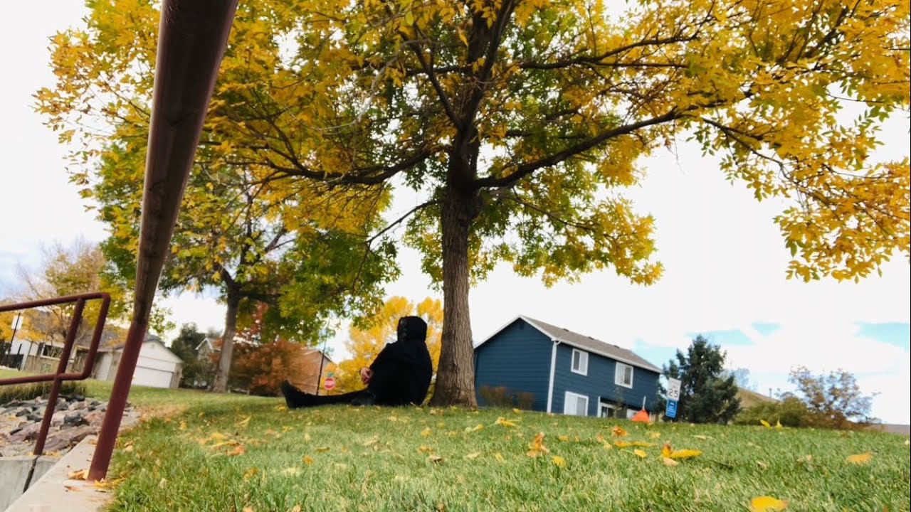 Cheat code (official visualizer) - YouTube