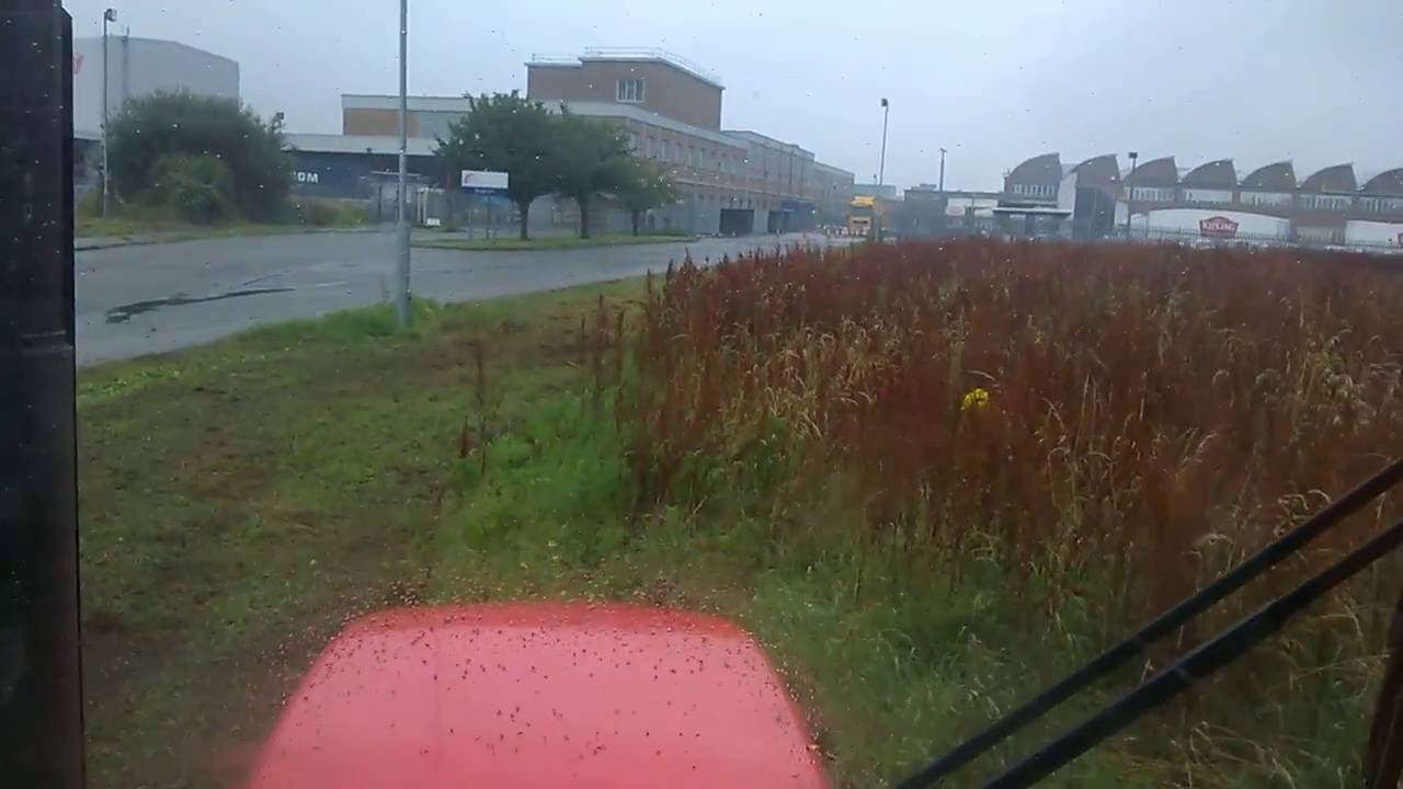 Field flailing 1 - YouTube