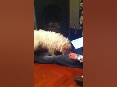 George powell - YouTube