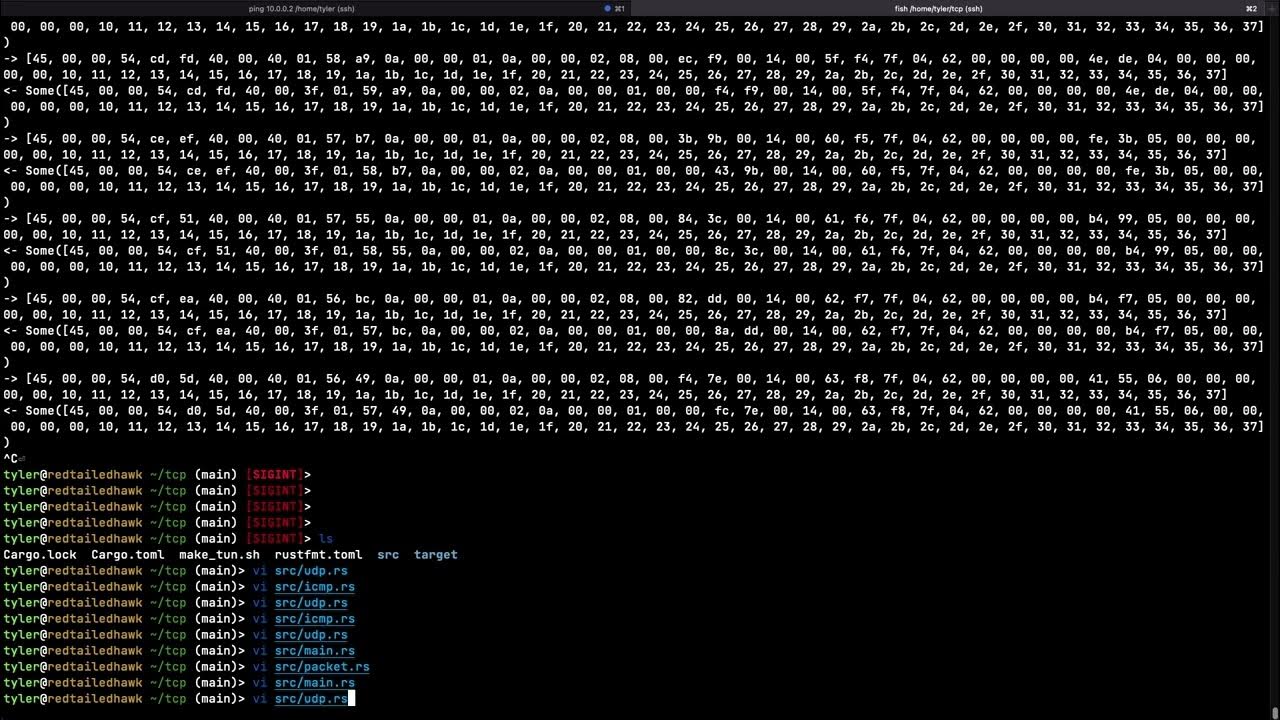 (Netdev in Rust) Writing a TCP/IP stack - YouTube