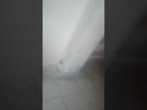 Terk edilmiş imam hatip okulunda paranormal olaylar