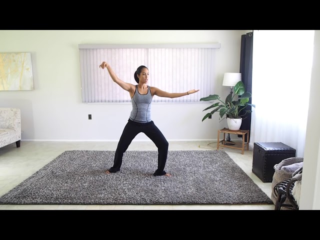 24 Forms Tai Chi - The Basics