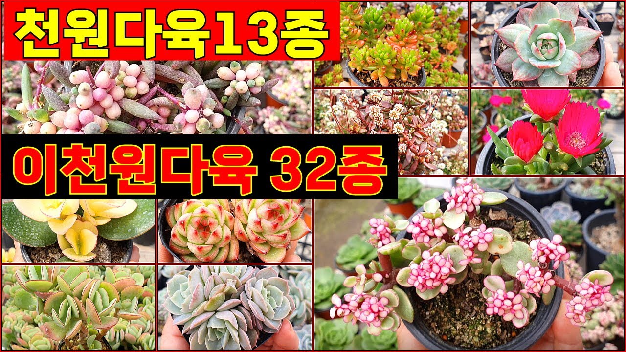 π4μ23μΌ λμλ€μ‘ πμ²μλ€μ‘13μ’
 μ΄μ²μλ€μ‘32μ’
λΆν°~ 68μ’
μ μμμμ΄λ€ λ§λ보μΈμ μ΄μ²μμν볡 μ²μμν볡λ€μ‘λ€μ‘μ΄λ€μ‘μ΄ν€μ°κΈ° μ²μλ€μ‘λ€μ‘λΆκ°μ΄ μκ½μ΄