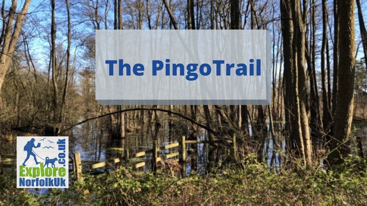 The Pingo Trail Norfolk Circular Walk - YouTube