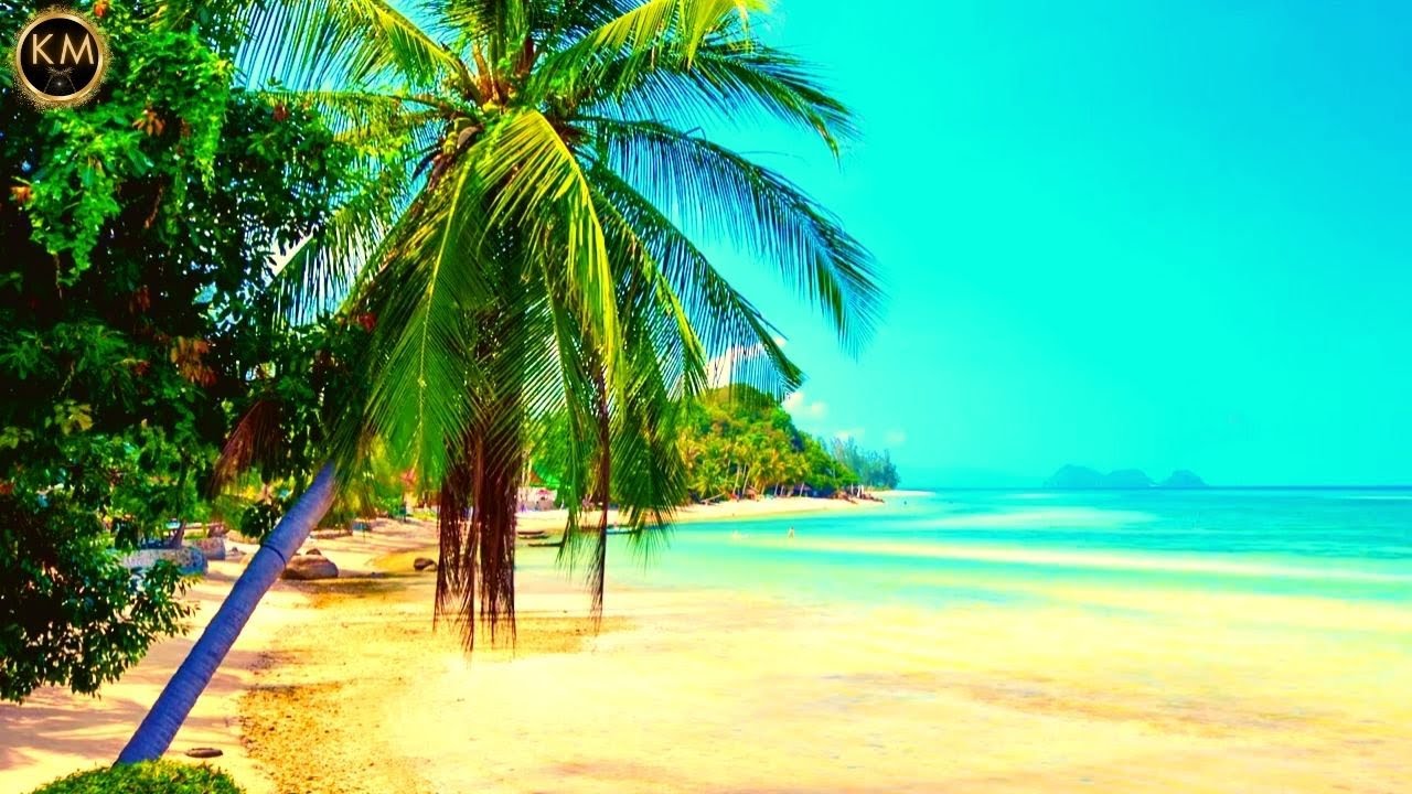 🎶🌴TROPICAL TUESDAY! Relaxing TROPI-LATINO Grooves by Clear Waters for ...