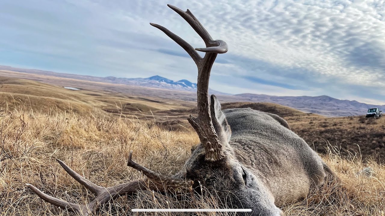 Massive Buck Hiding in the Brush! Garrett's 2021 Whitetail Deer Hunt ...