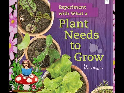 What Does A Plant Need To Grow Experiment
