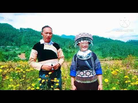 mim lis tsab hawj lug txiaj nkauj nraug lom ziam kawg - YouTube