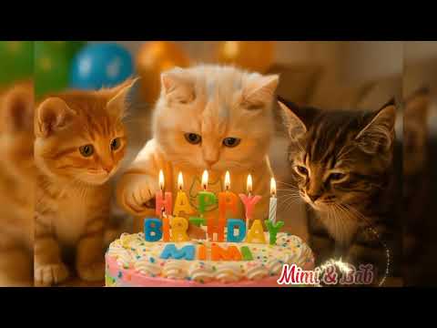 🌈🎂Mimi’s Sweet Birthday Party 🎂✨#happybirthday#adoreble#catshorts #funnyshorts#shortsviral#cute#mimi