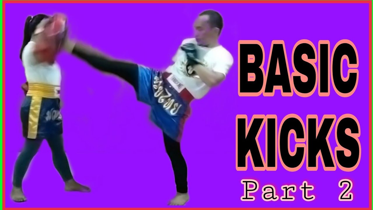 HOW TO DO A BASIC ROUND HOUSE KICK & SIDE KICK||Kinds of Kicks - YouTube