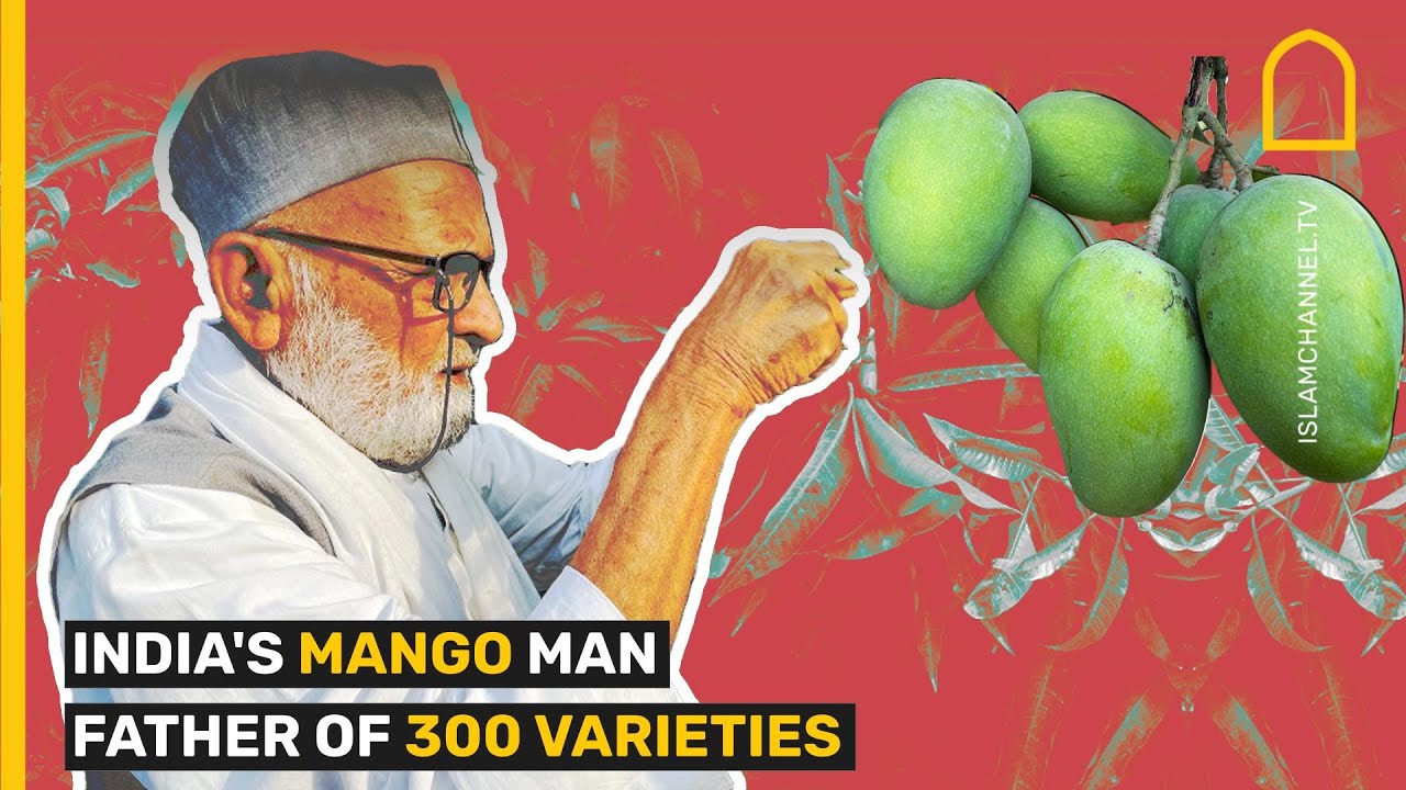 India's mango man, father of 300 varieties - YouTube