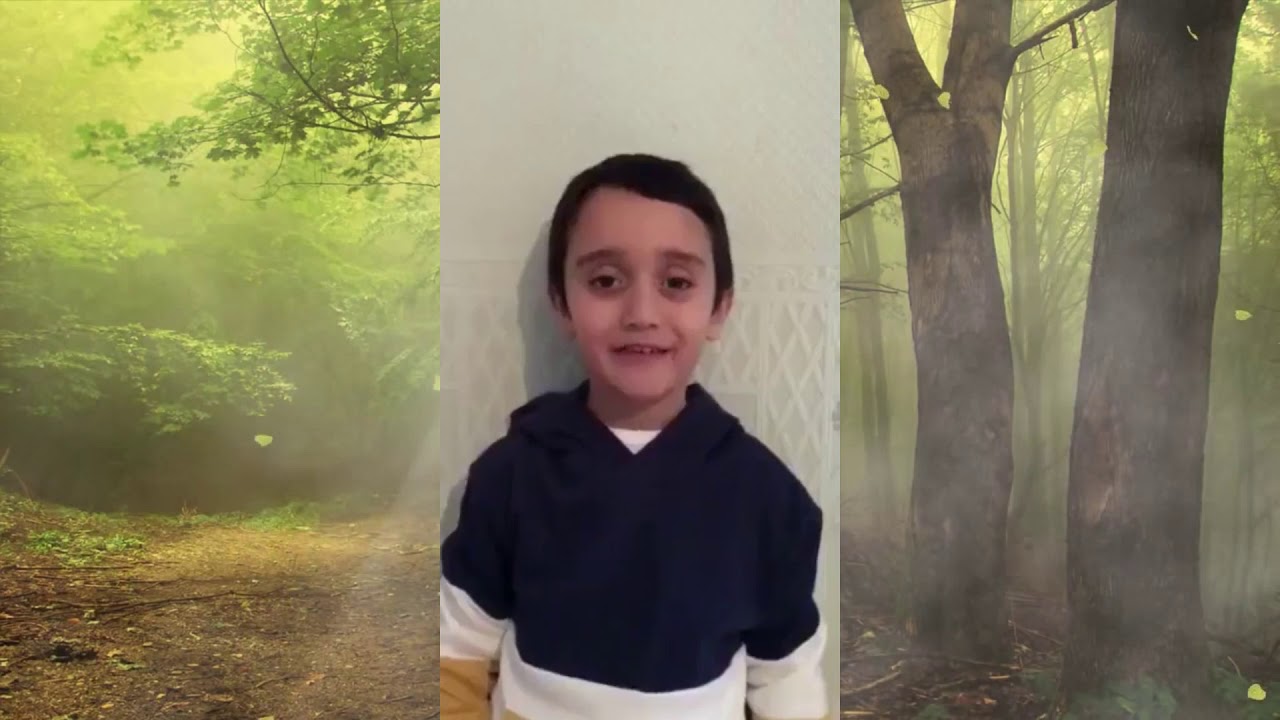 სკოლა ოპიზა Youtube