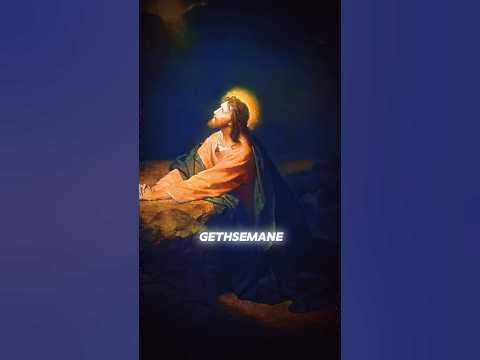 Jesus prays in gethsemane Matthew 26:36:41 #biblevibes #bible # ...