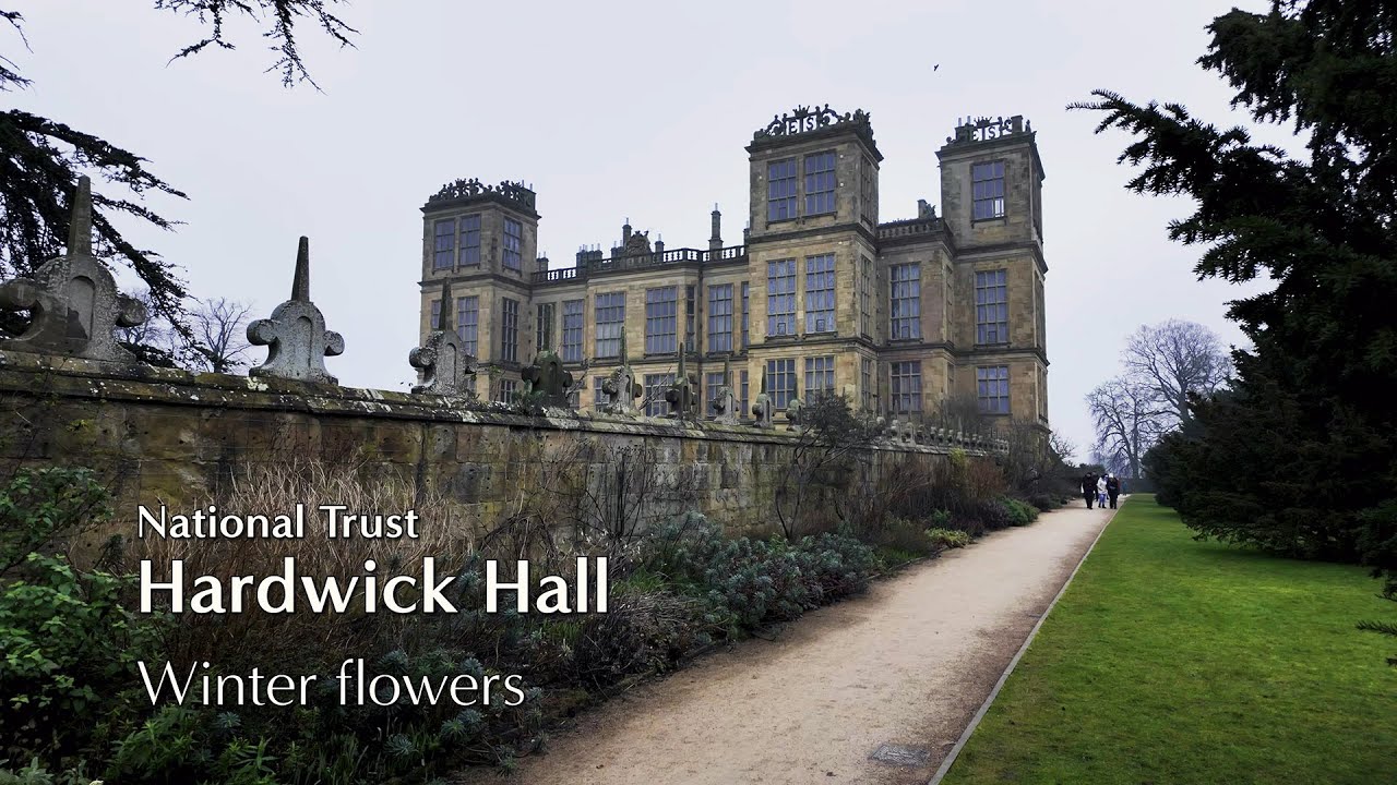 National Trust Hardwick Hall, Derbyshire - Winter flowers - YouTube