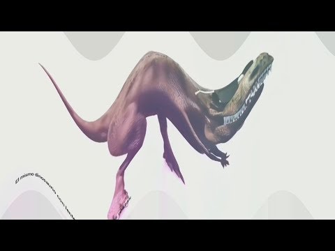 SOPA DE MACACO SÓ QUE BUGADO