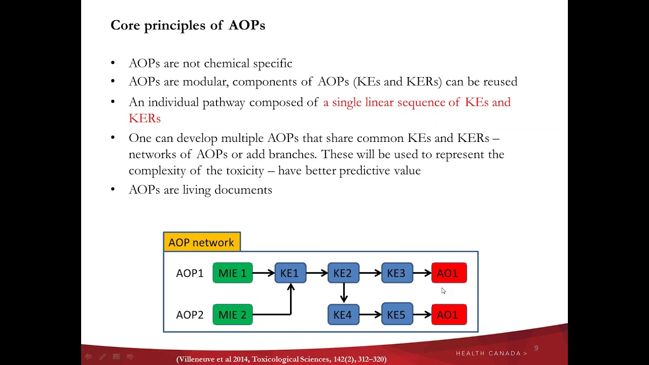 Adverse Outcome Pathway Toxicity Testing Strategy for Lung Fibrosis ...