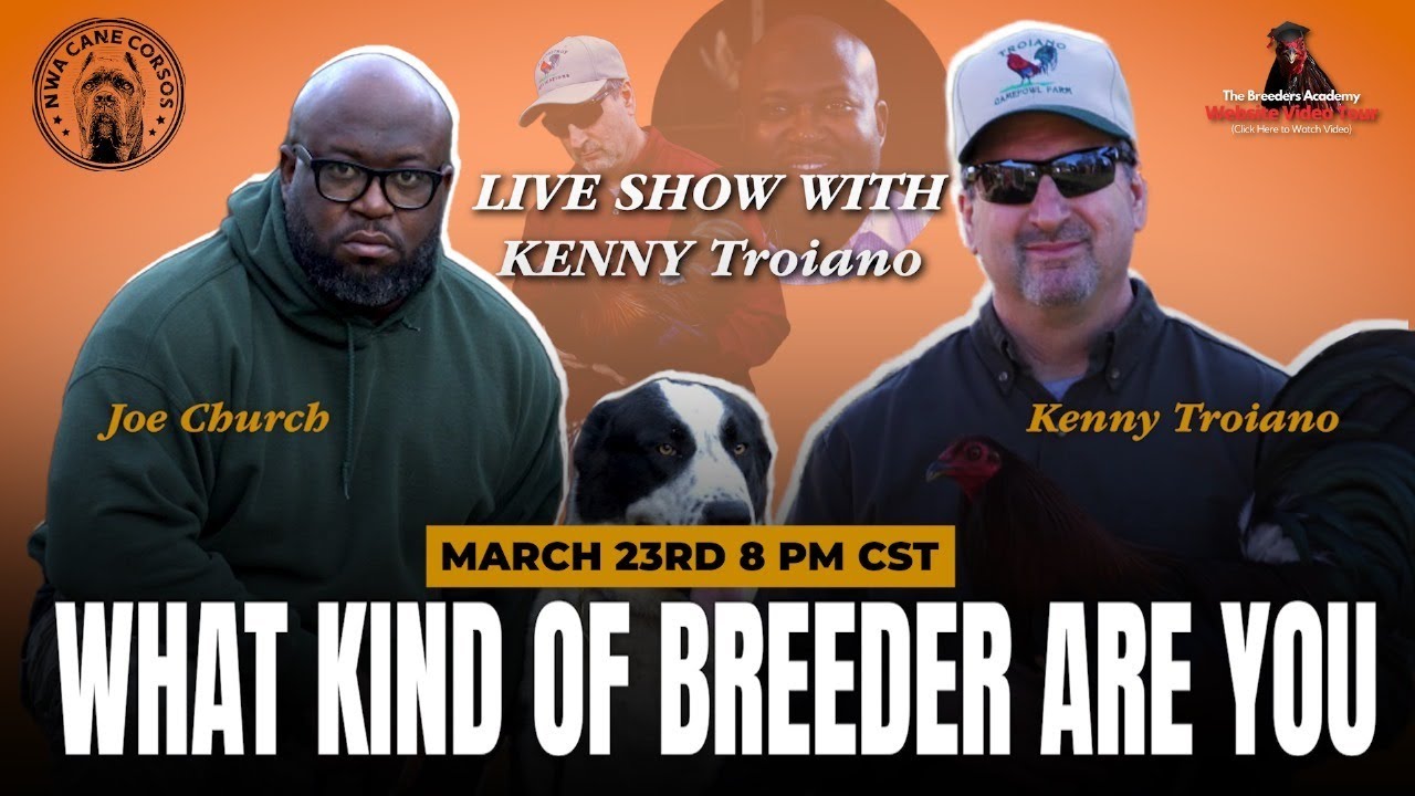 What Kind of Breeder Are You? The Truth About Diffrent Types Of ...