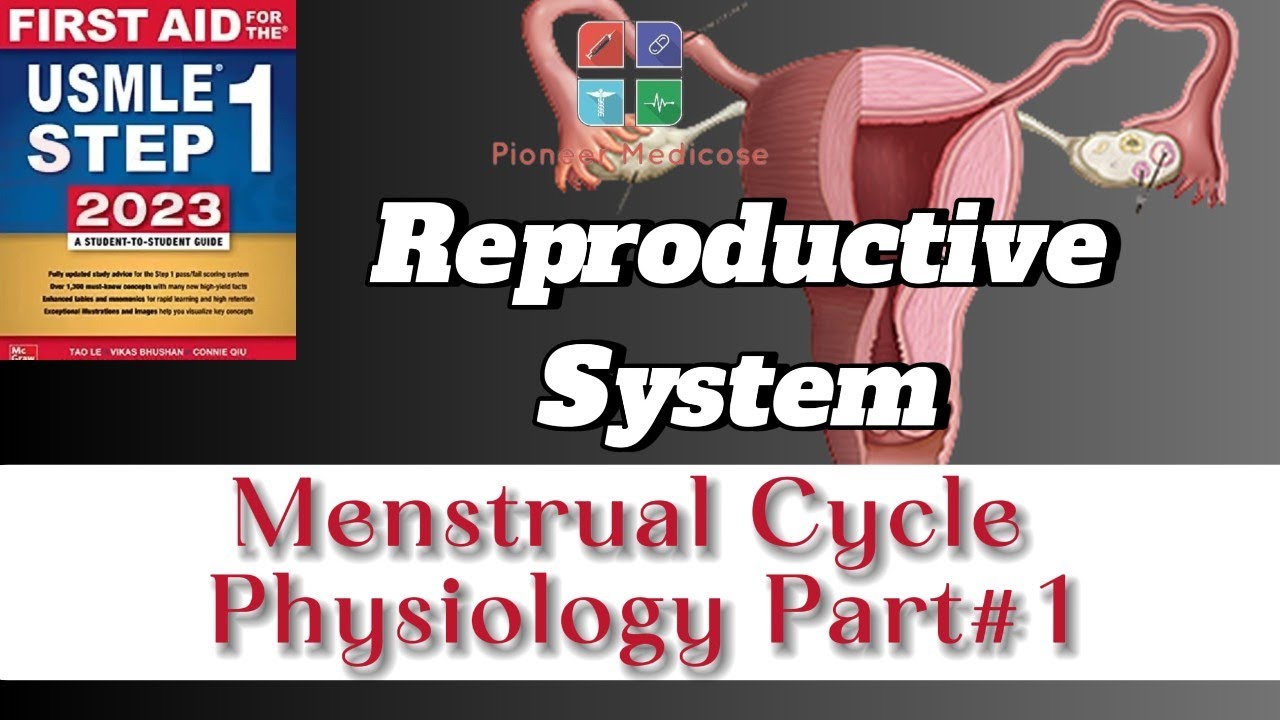 Menstrual Cycle in Hindi Part#1|Physiology from First Aid USMLE step 1 ...