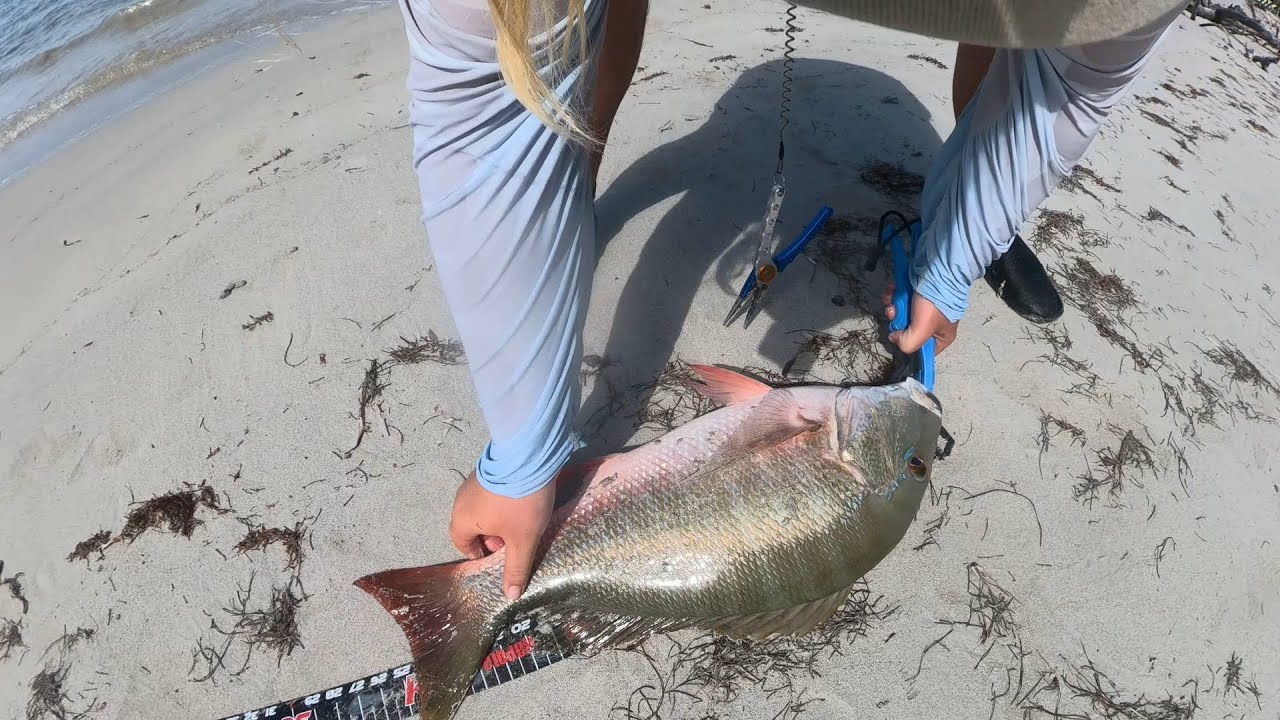 INSANE FISHING ACTION! BEACH FISHING ST. CROIX US VIRGIN ISLANDS - YouTube