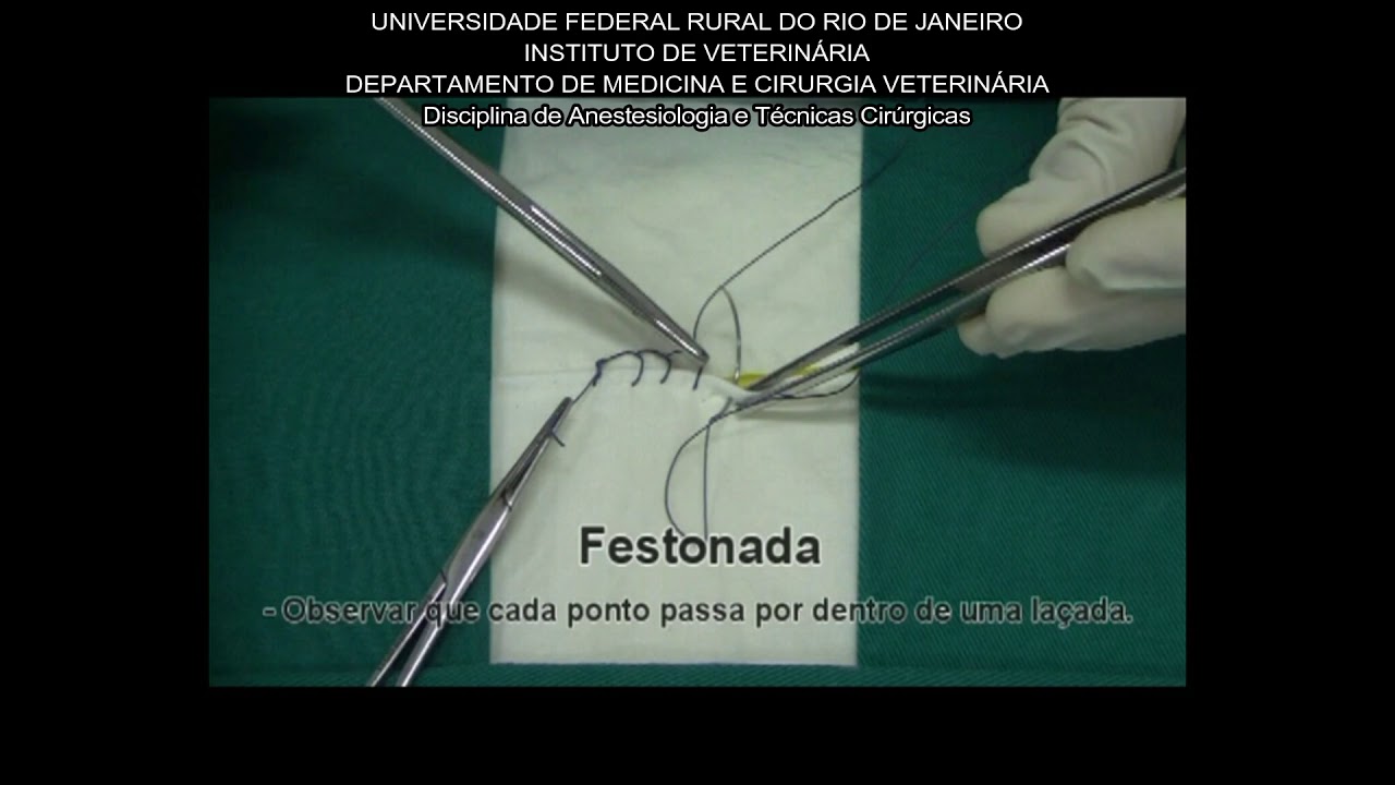 21- Festonada - YouTube