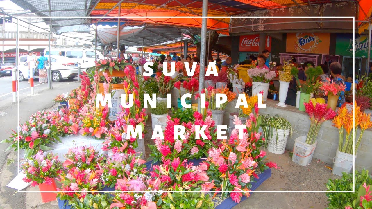 Trip To Suva Municipal Market Fiji - YouTube