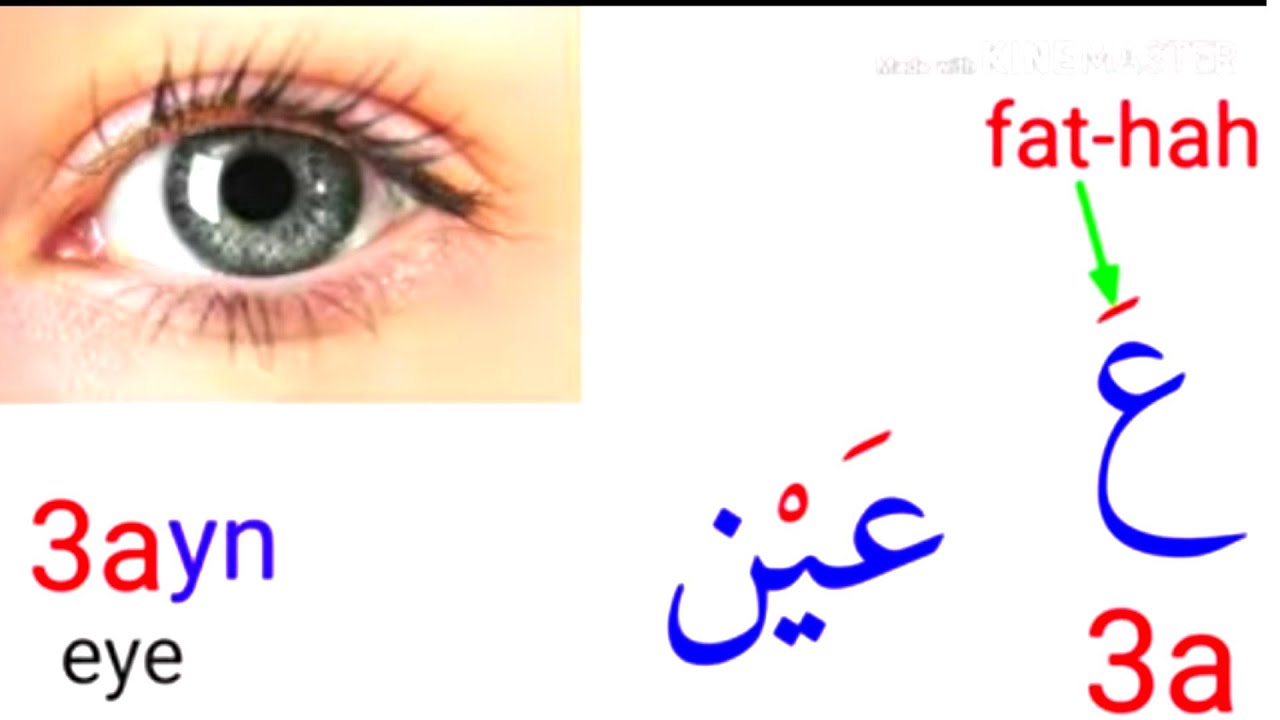 Learning Arabic Alphabet- 3ayn with short vowels and sukuun - YouTube