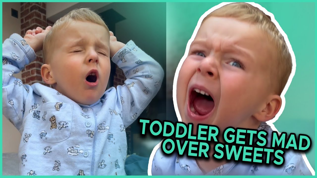 Toddler Gets Angry Over Sweets 😂 | CATERS CLIPS - YouTube