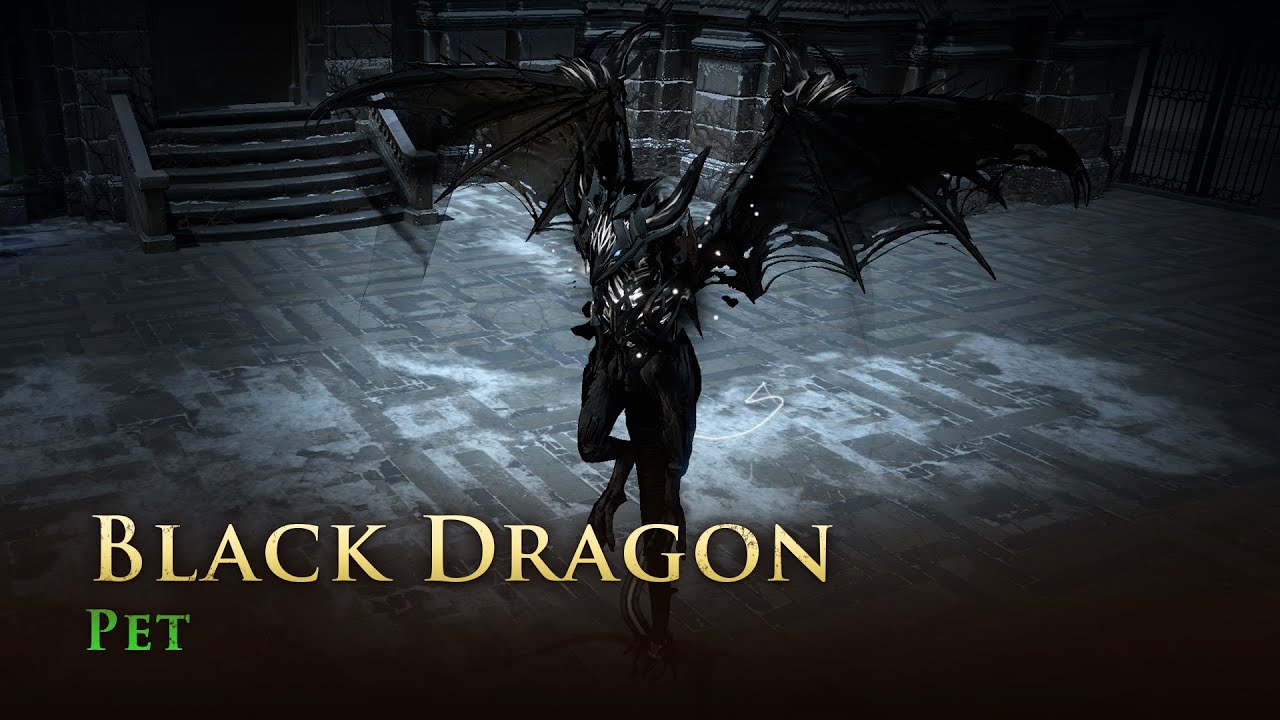 Path of Exile: Black Dragon Pet - YouTube