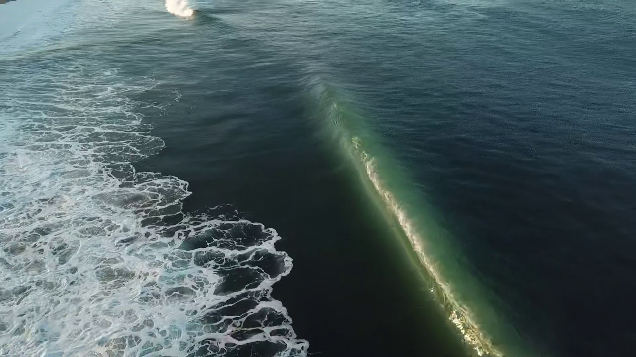 SURF FISHING CABO: ROOSTERFISH AND THE HOMELESS WANDER - YouTube