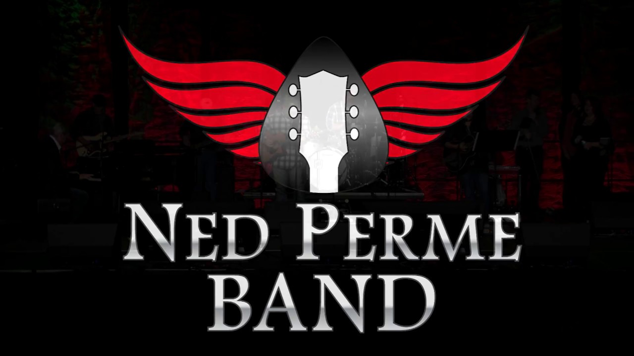 2017 Christmas Celebrity Karaoke: Ned Perme Band - YouTube