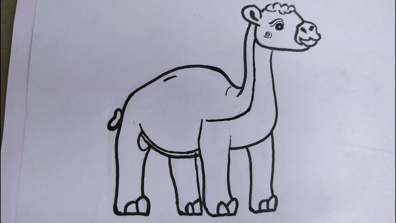 Unleash Your Artistic Skills with This Insanely Adorable Cute Camel ...