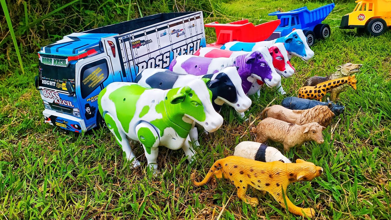 Amazing..!! Truk Oleng Hewan Angkut Sapi Warna Warni Sapi Lucu Gajah ...