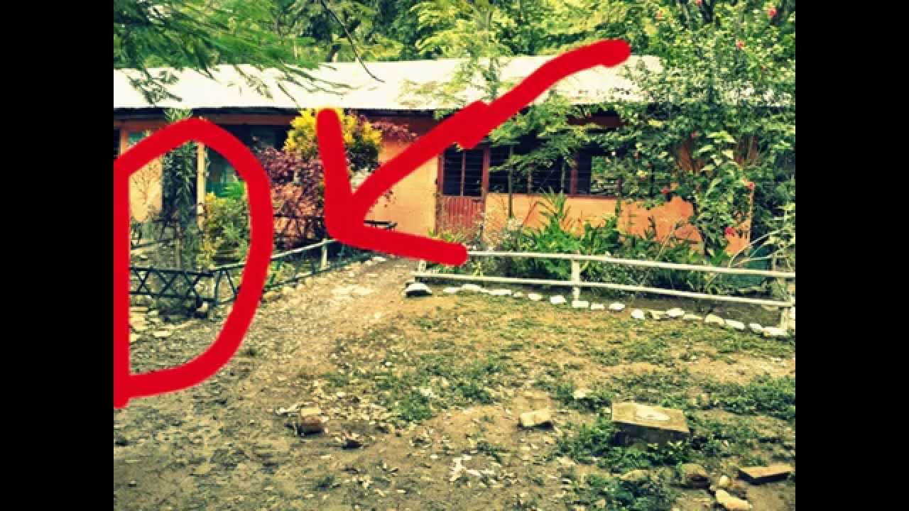 TOP:5 fotos de fantasmas ¡¡¡REALES!!! - YouTube