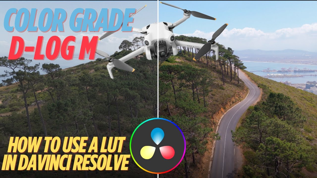 How to Color Grade DJI D Log M Footage with a LUT in DaVinci Resolve ...