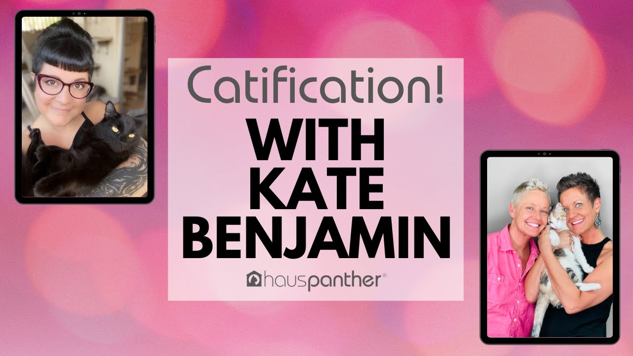 CATification with Kate Benjamin! | Two Crazy Cat Ladies - YouTube