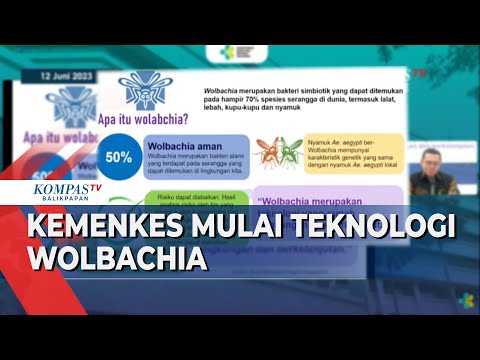 Kemenkes Ingatkan Pemberantasan Sarang Nyamuk Tanggulangi DBD