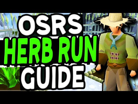 How To Keep Herbs From Dying Osrs