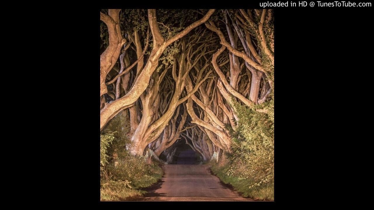 [FREE] Eddie Gianni X Summrs X Type Beat (prod. Boost) - YouTube