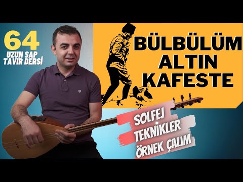 Bülbülüm Altın Kafeste | Uzun Sap Tavır Dersi (Solfej, Teknikler, Örnek Çalım)