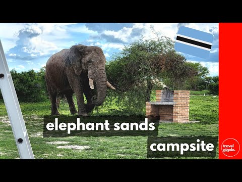 Campsite Review: Elephant Sands - Nata Vicinity, Botswana (Travel in Botswana)