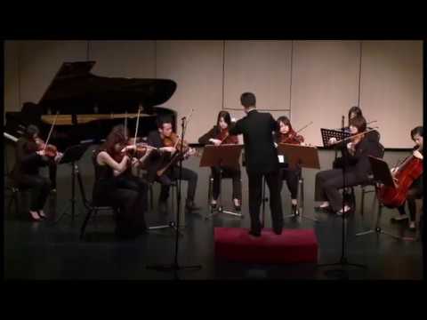 Edward Elgar - Serenade for Strings in E minor, Op. 20, Mov. I - YouTube