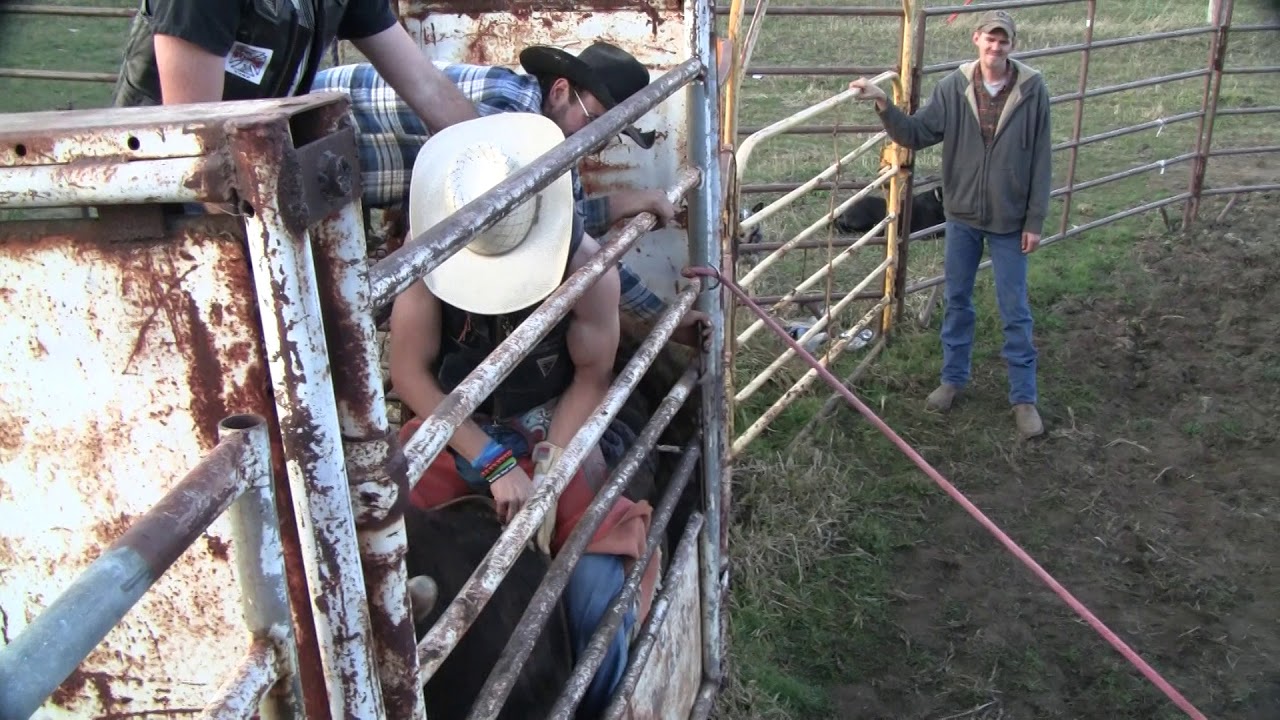 Lane Scott's Instagram, Twitter & Facebook on IDCrawl