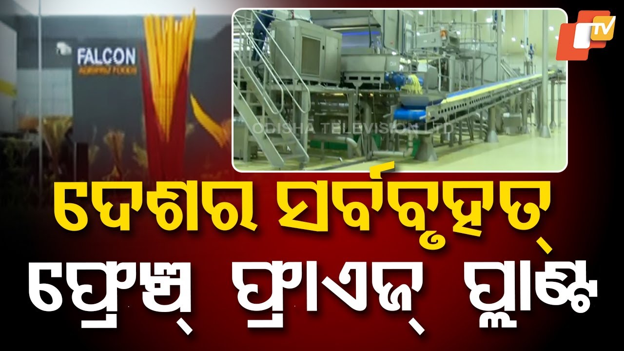 India’s Largest French Fries Plant Inaugurated by Falcon Group in ...
