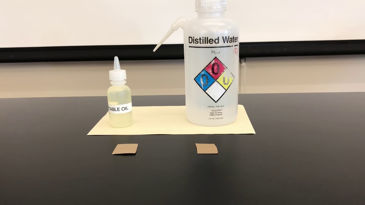 BI-112 Lipid Paper Test for Lab 2 - YouTube