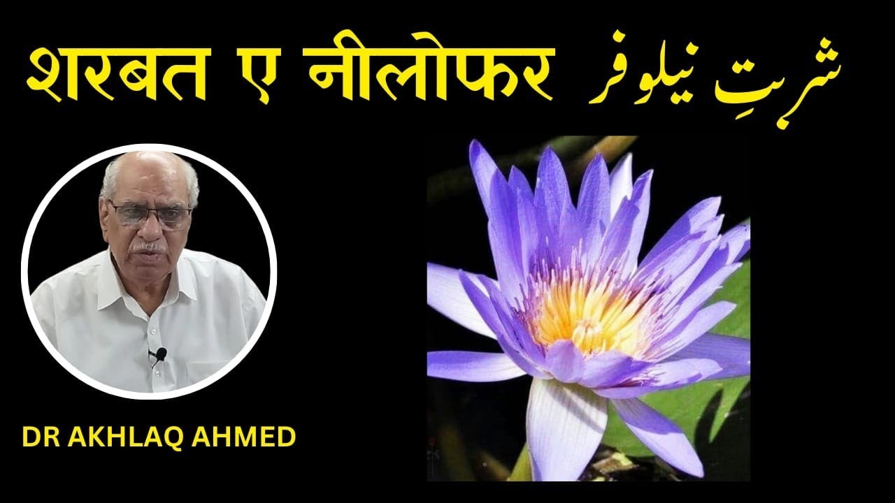 Sharbat NILOFER / Nilofer Flower syrup/Helps in fever/Quenches thirst in summer. 🏖️ - YouTube