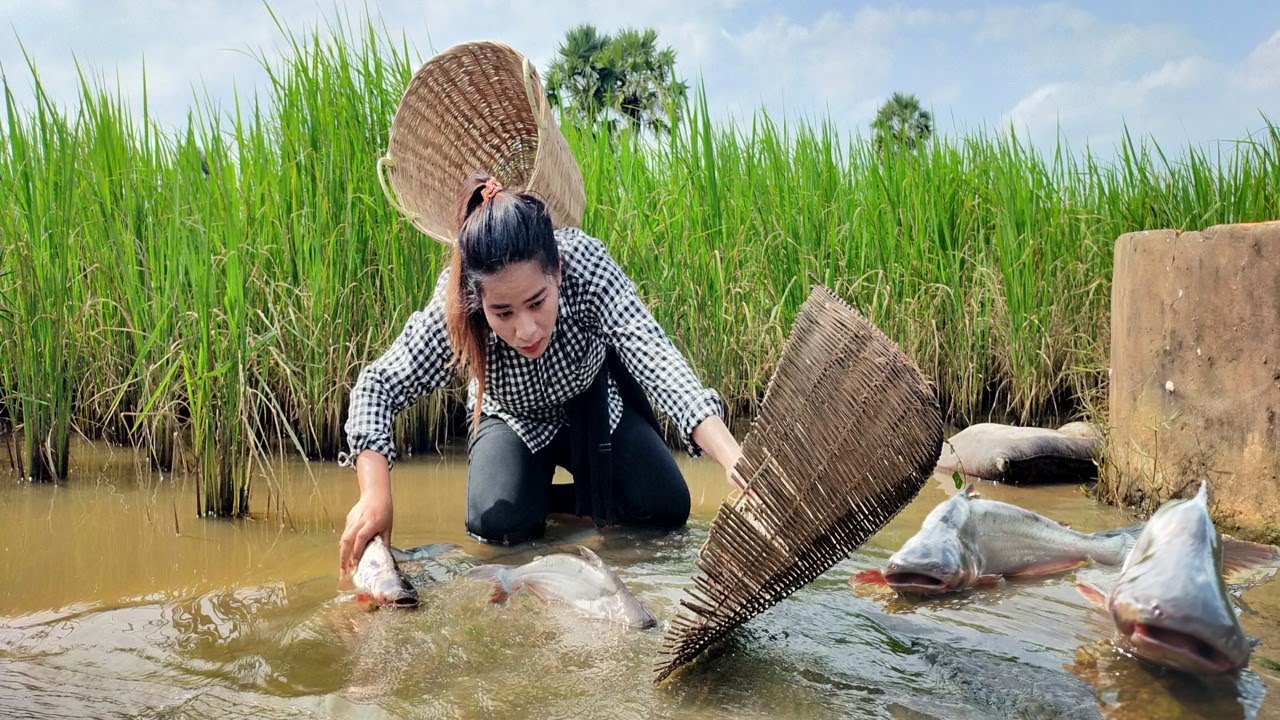 Wow So Big Fish and Cook with Fermented Fish Recipe / Very Delicious ...