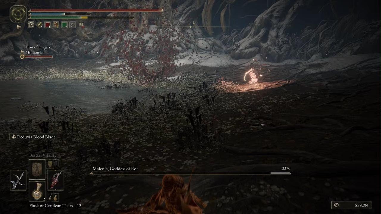 helping fellow tarnished beat malenia - YouTube