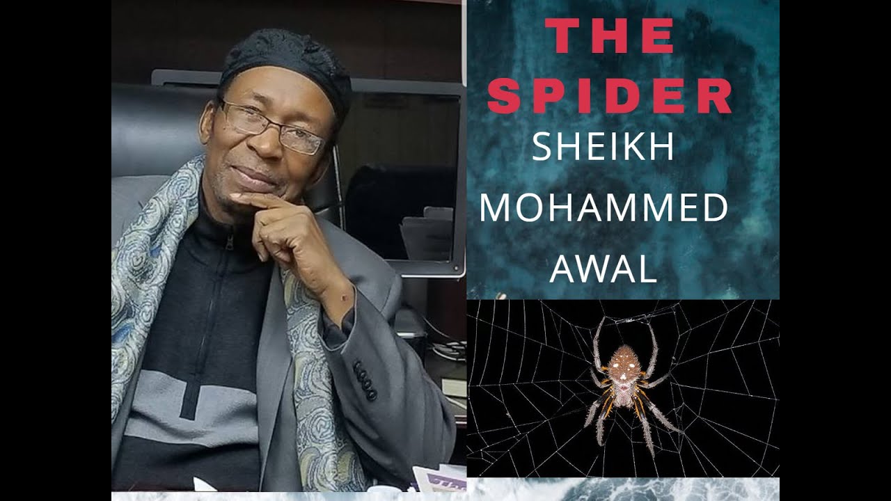 THE SPIDER _ SHEIKH MOHAMMED AWAL - YouTube