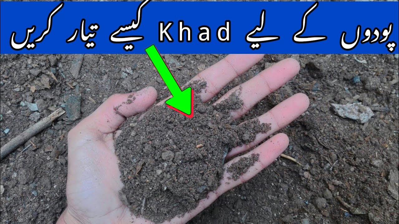 Paudhon ke liye khad kaise banaen || Plants ke liye khad kaise taiyar ...